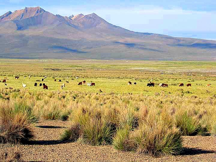 UN PAÍS LLAMADO PERÚ