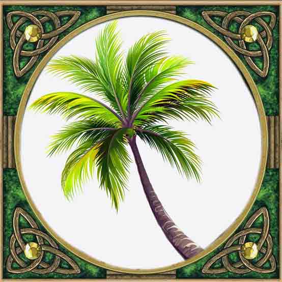 Os nativos de Coqueiro - Mestre Interior