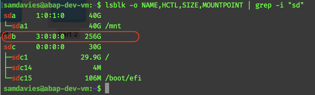 SAP ABAP Central: Install ABAP Platform 1909 – Dev Edition on an Azure Ubuntu instance using ...
