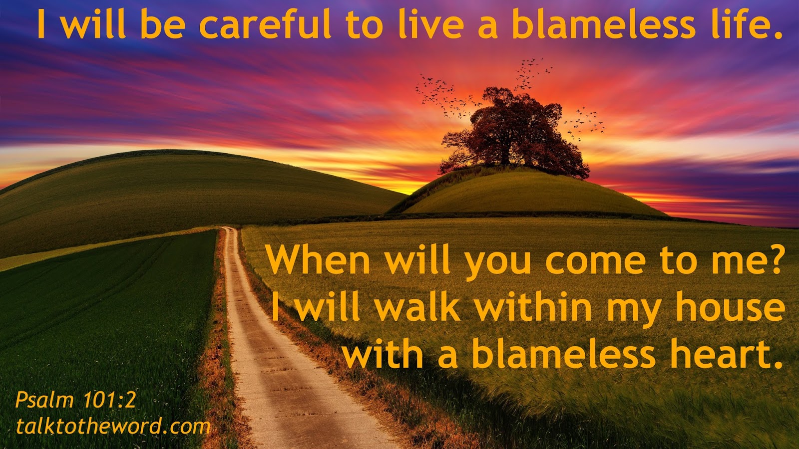 Psalm 101 2 psalm-101-2