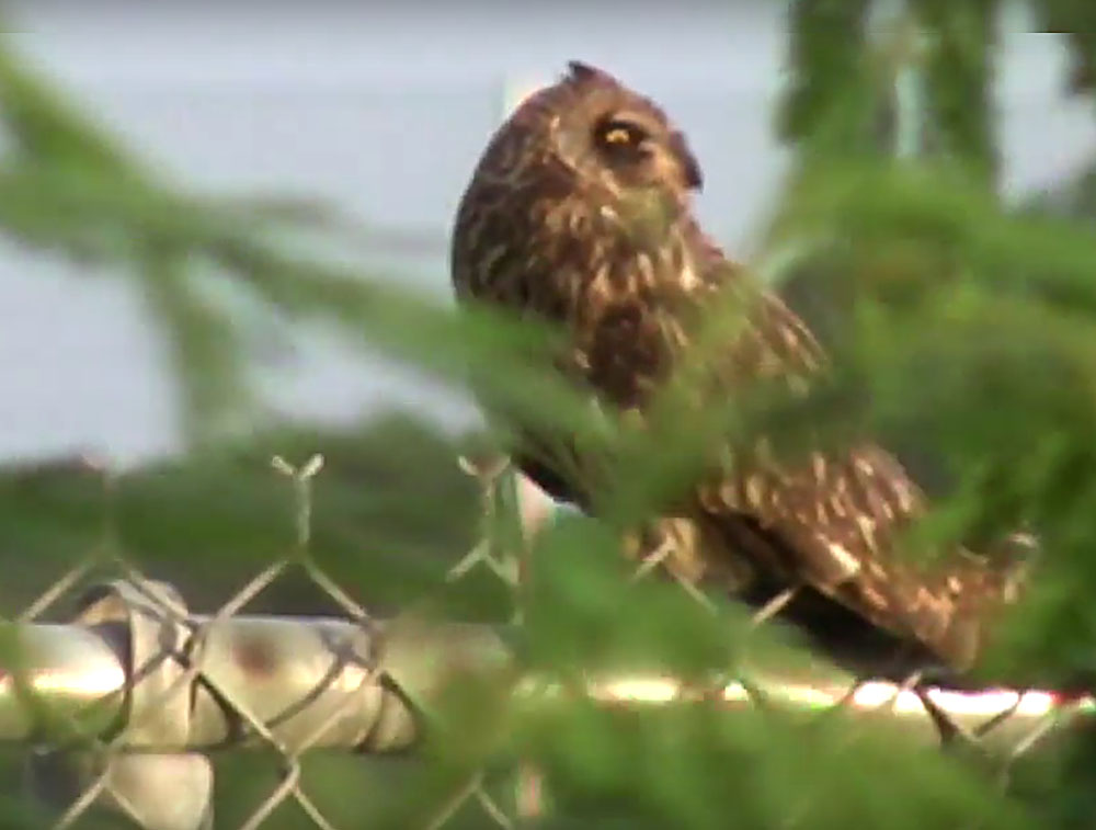 Honouliuli Ewa Traditional Cultural Properties: September 2015