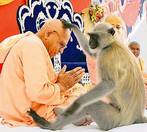 The Monkey God - ARUNACHALA GRACE