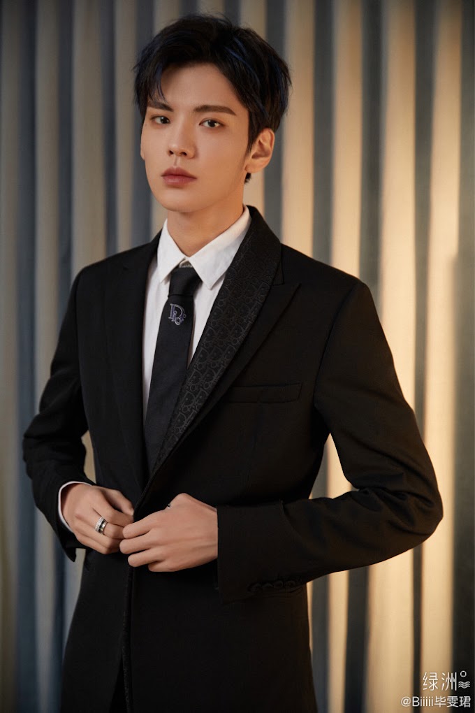 Biodata dan Profil Bi Wenjun | Bevan Jun 毕雯珺