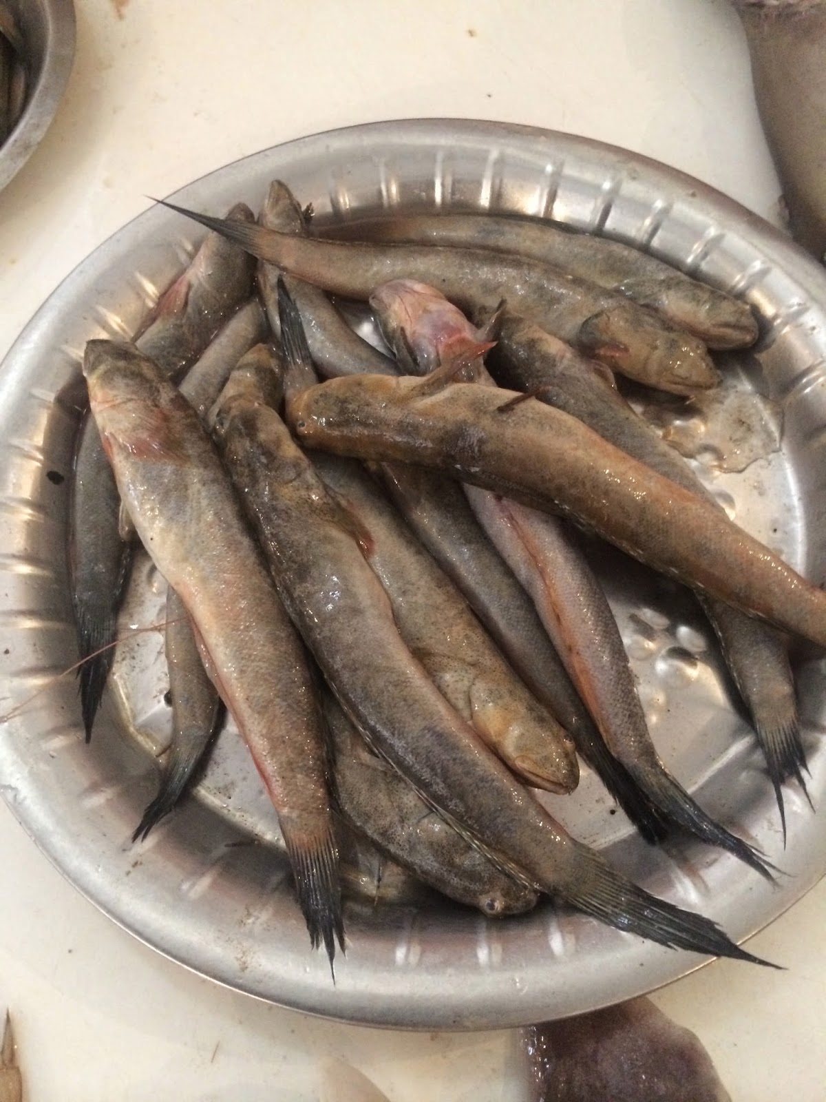 Exploring Koli Culture with Anjali Koli