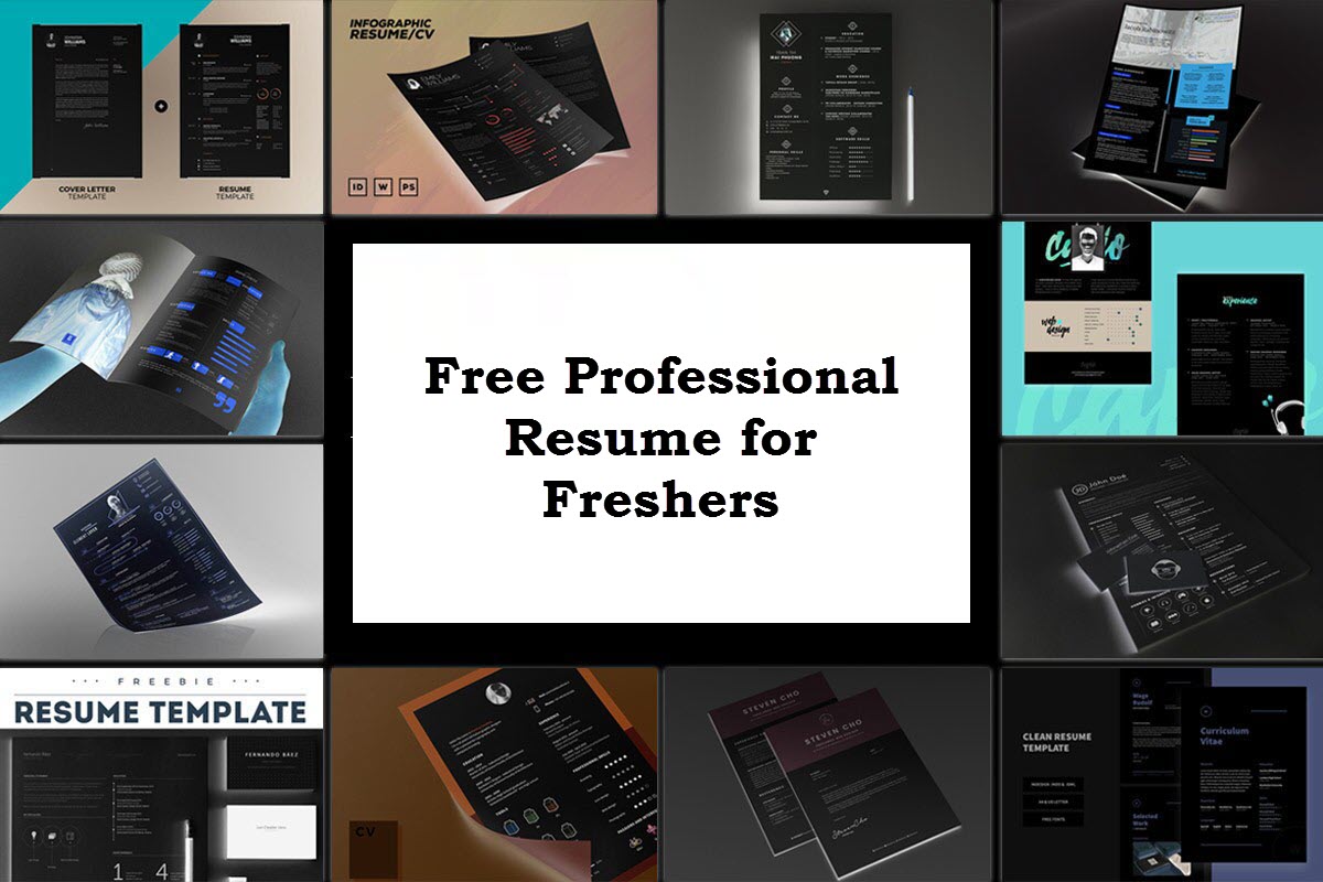 Free Professional Resume For Freshers free-professional-resume-for-freshers