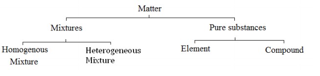 Chemistry Class 11 chapter 1 Some Basic Concepts of Chemistry - Naukri Vala