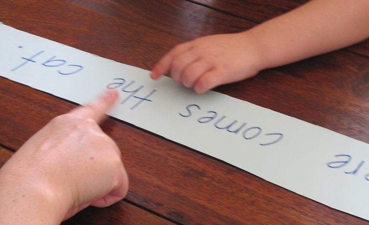 Learning to Write Sentences in Kindergarten | From the Pond