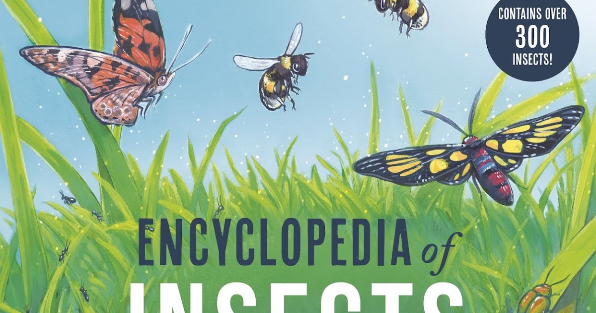 Kids' Book Review: Review: Encyclopedia of Insects