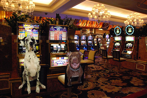 Tucker: Corbin and Tucker go to Vegas