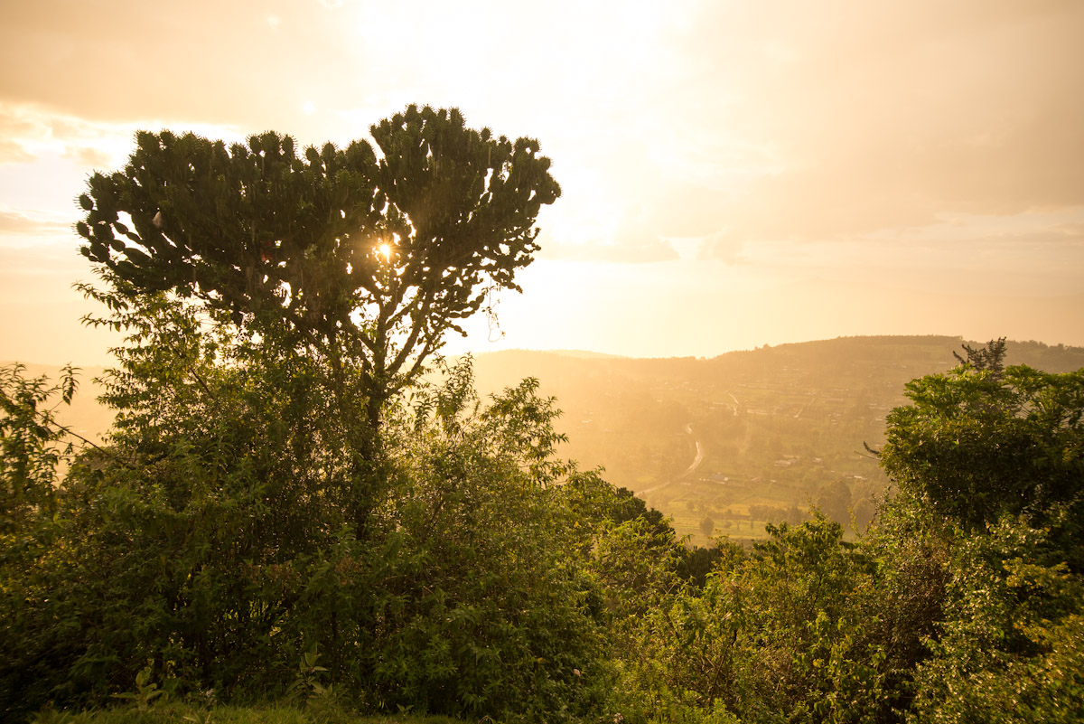 Kenya: Cucu in her element - Elburgon
