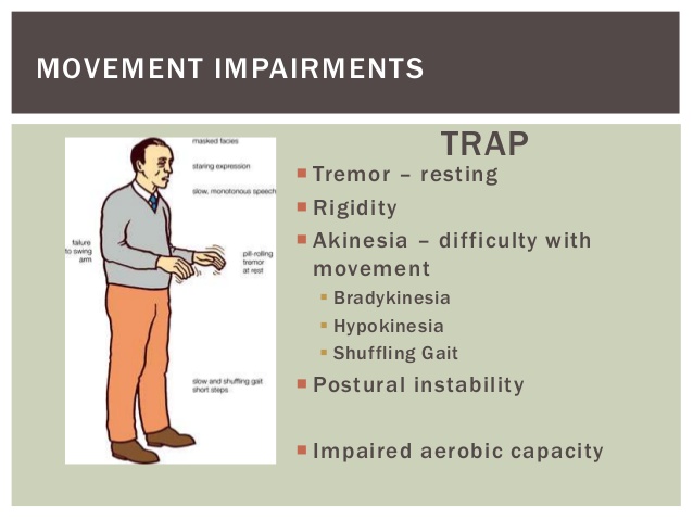 Emily Pitts HSC4233: Parkinson's disease overview