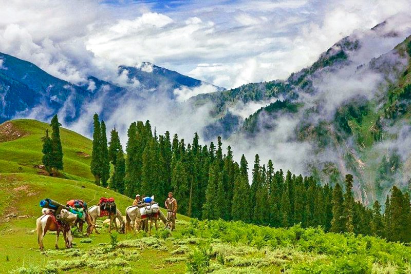 Thandiani - A less crowded picnic spot - Explore Pakistan