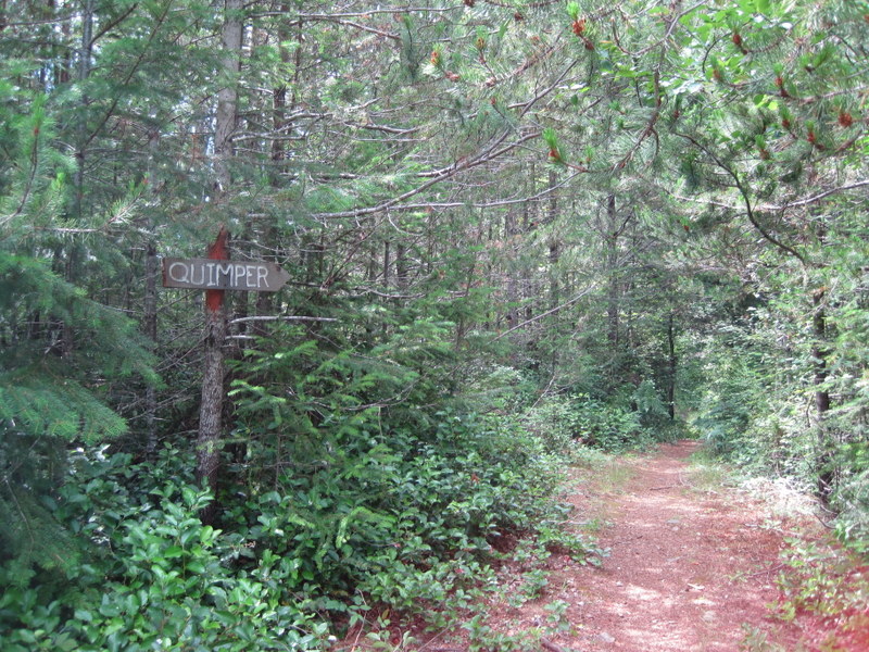 Tuesday Ad Hoc Hikers: Tuesday June 25, 2013 Mount Manuel Quimper