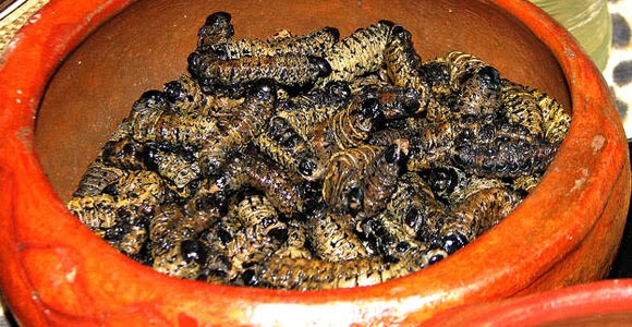 Daily Cup of Adventure: Food Adventure: Zimbabwe