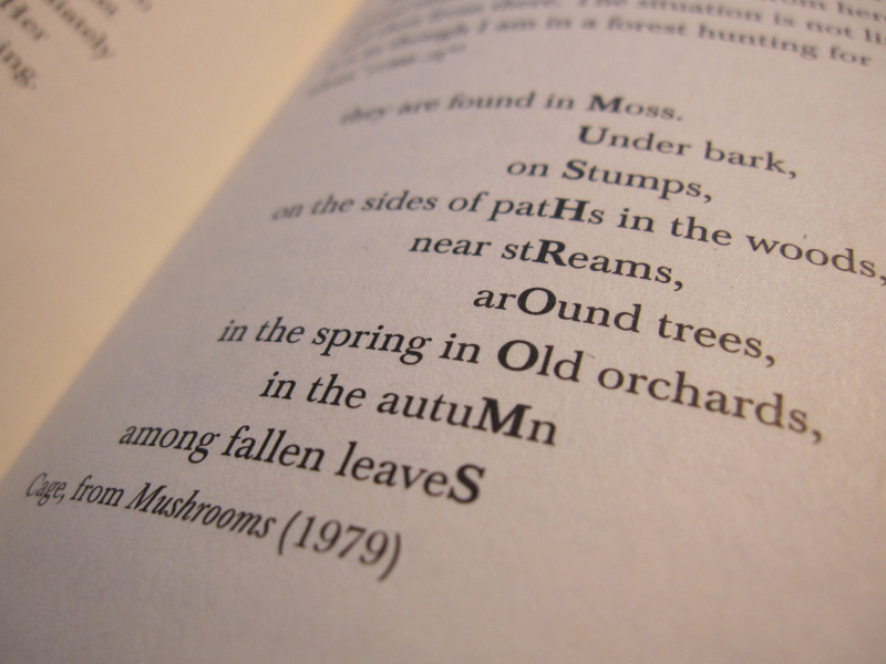 Exhibitions Blog: Gallery Interaction: Mesostics.