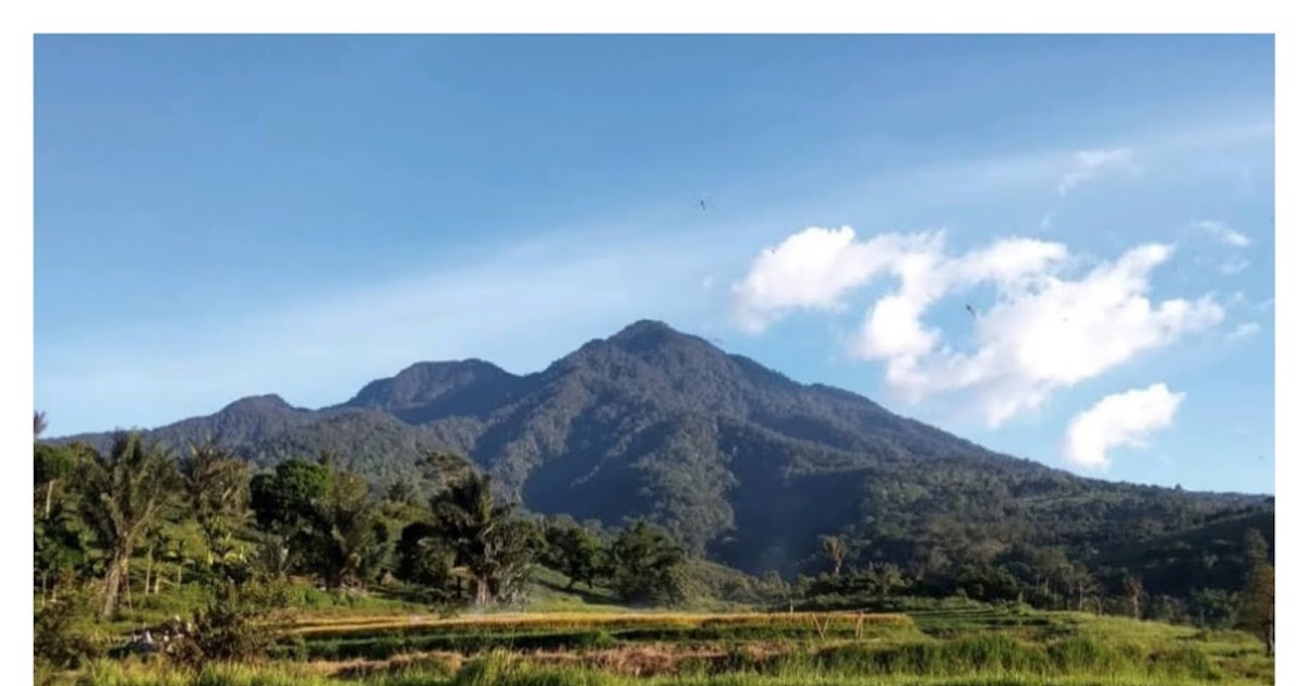 Travelplus Indonesia: Yuk Tutup Tahun di Puncak Gunung Sago, Ini Info ...