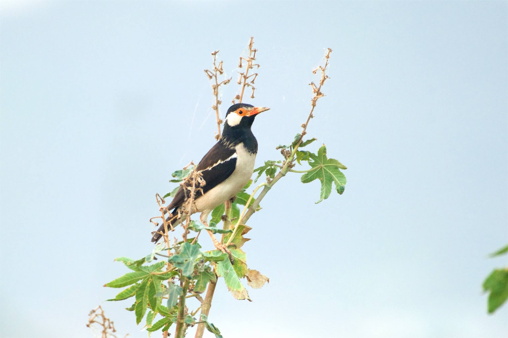 Location: Sanjivini Nagar, Jabalpur, India (Latitude: 23.172826 ...