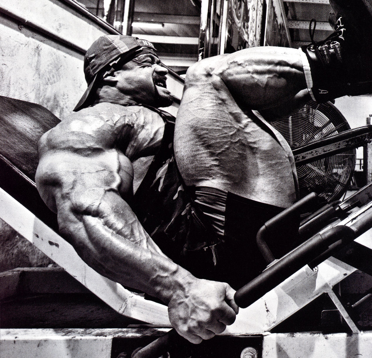 Knights of Bodybuilding: BRANCH WARREN