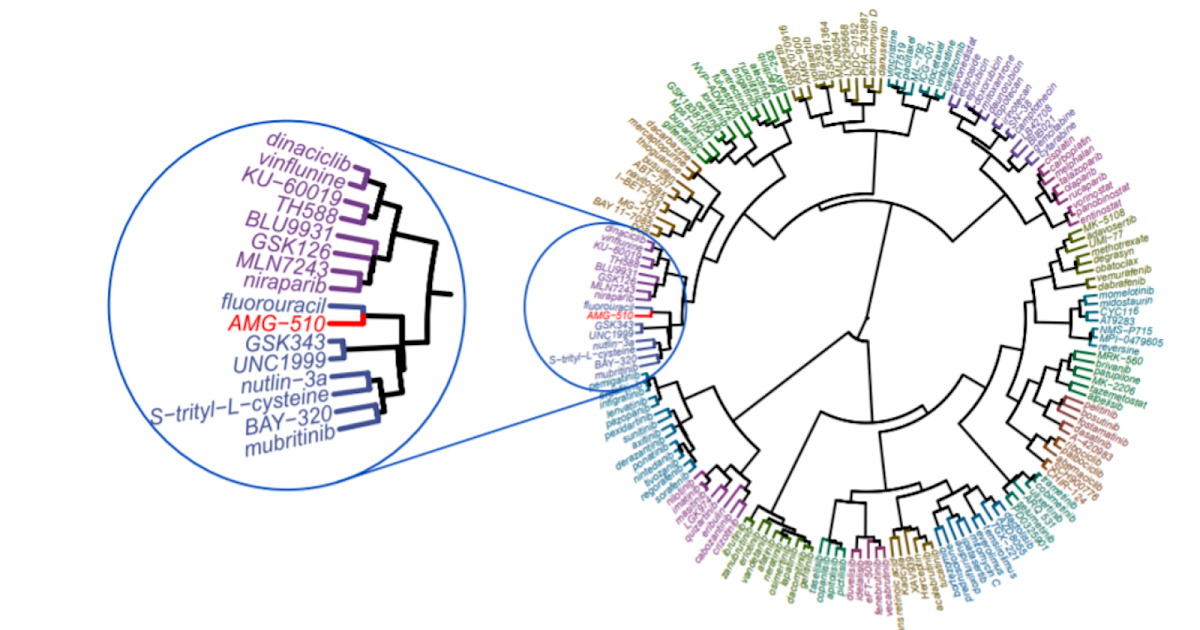 How Advanced Bioinformatics Can Overcome Data Overwhelm in Biomarker ...