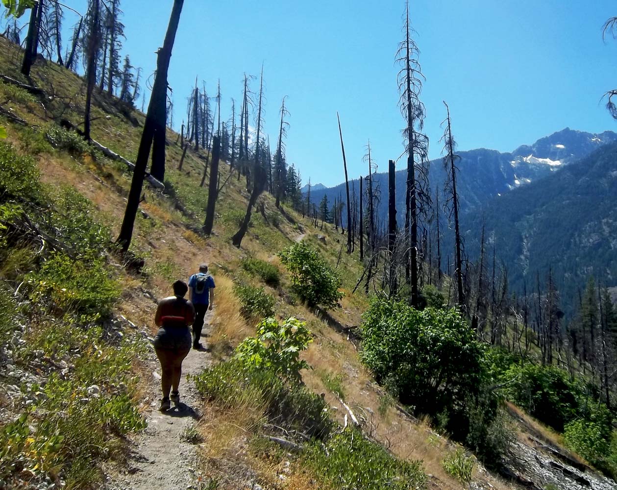 Stehekin Heritage: Take a Stroll on the Rainbow Loop Trail