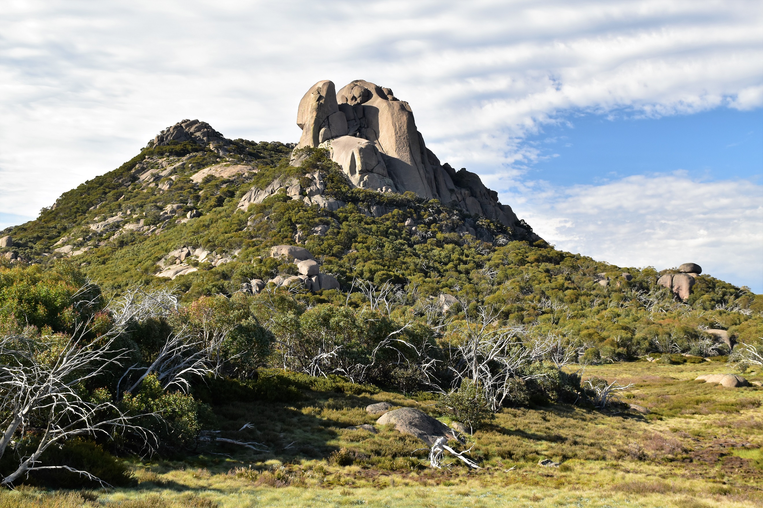 Goin' Feral One Day At A Time: Mt Buffalo Circuit Walk, Mt Buffalo ...