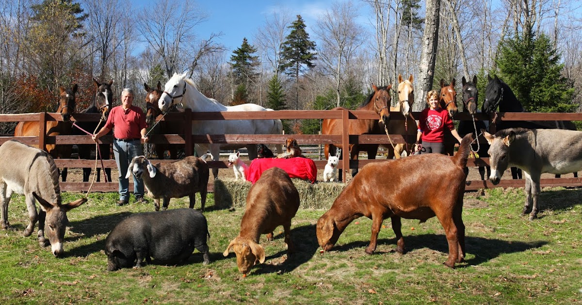 Finding My Way to Moose River Farm: Seasons's Greetings from Moose ...