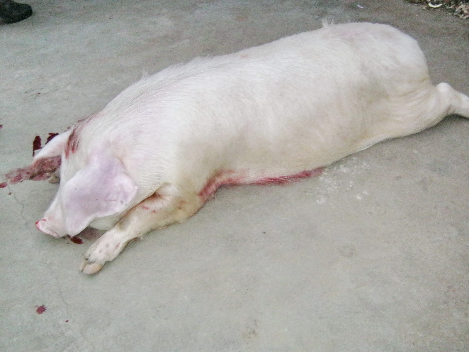 Carnati de porc de casa « In Bucatarie La Sidy