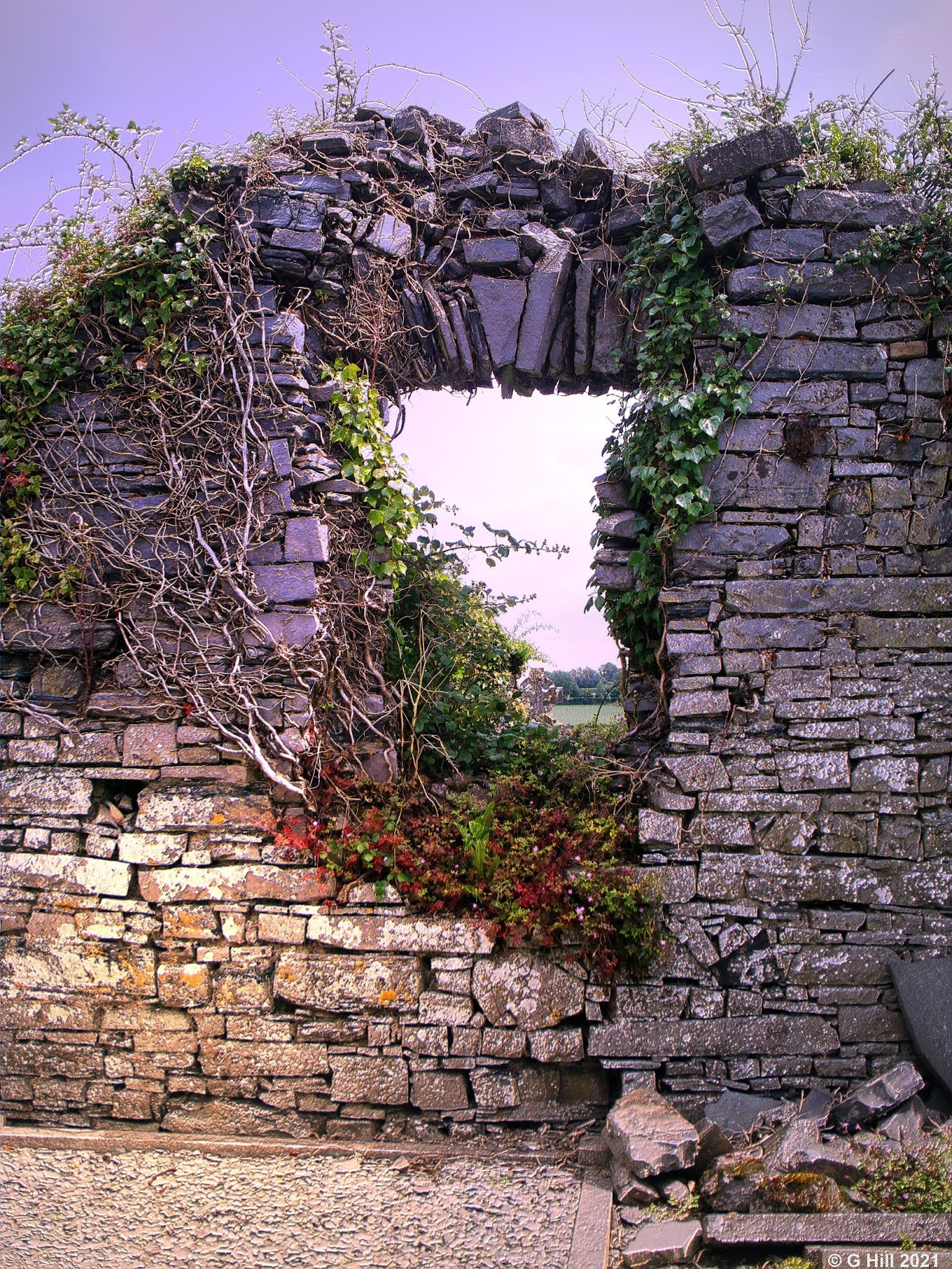 Ireland In Ruins: 2021