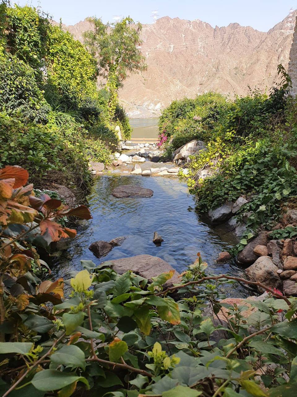 Beautiful UAE: Al Rafisah Dam, Sharjah