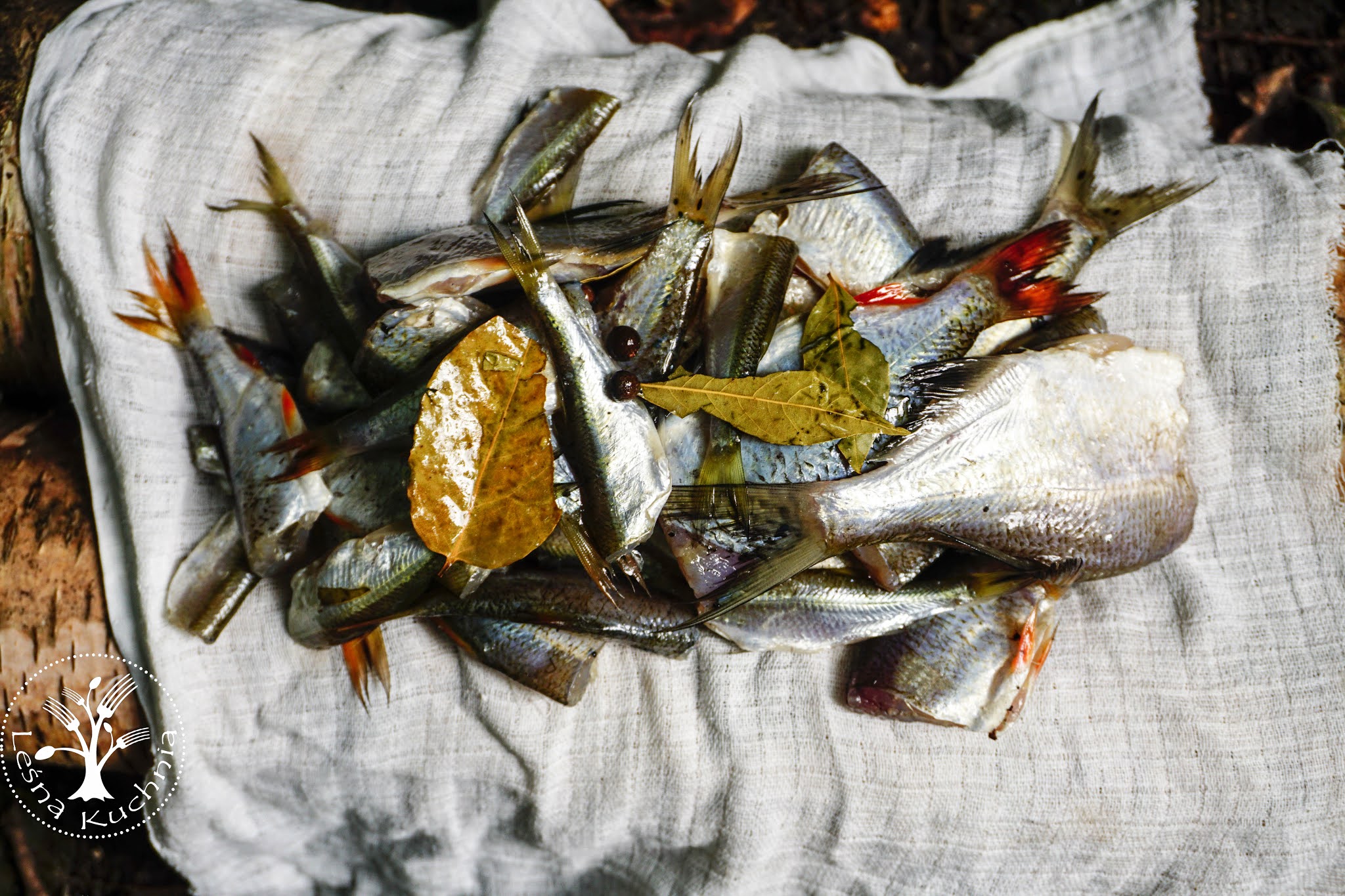 Leśna Kuchnia cz. 132 – Ucha / Zupa rybna - Leśna Kuchnia