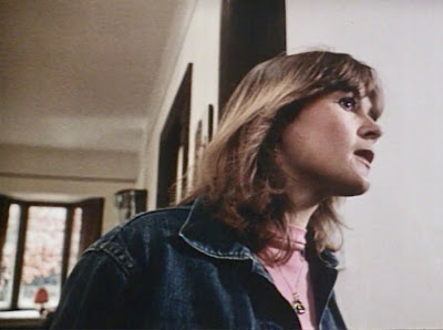 cult film freak: ROBYN HILTON BEGINS IN THE EXPLOITATION 'WONDER WOMEN'