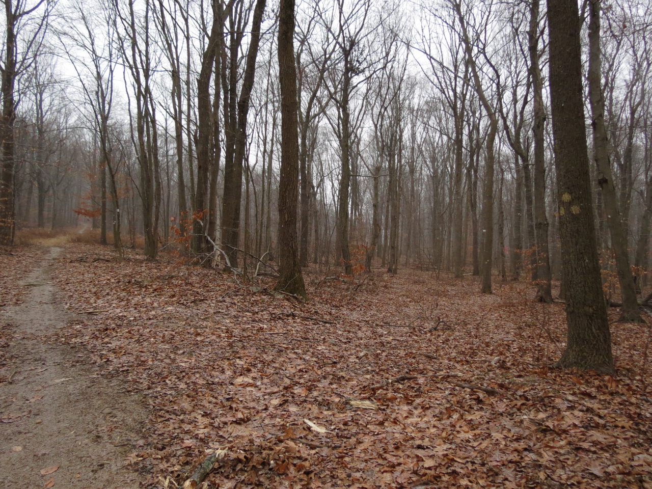 Gone Hikin': Dickerson Mine Preserve and Black River Park, NJ