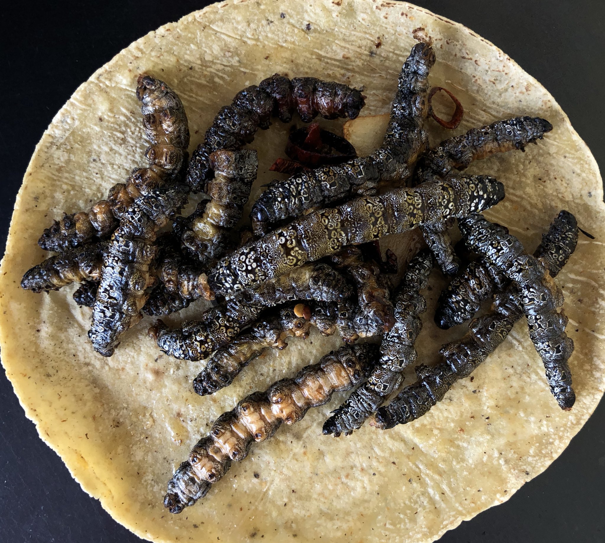 Conociendo México: Más allá de chapulines y jumiles: conoce más ...