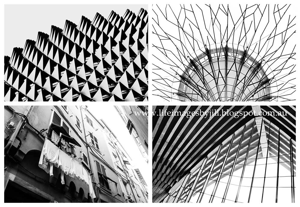 Life Images by Jill: Monochrome photography - give it a go!