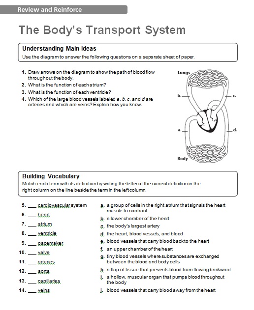 Mrs. Lechner's 8th Grade Science: Wednesday March 16, 2016
