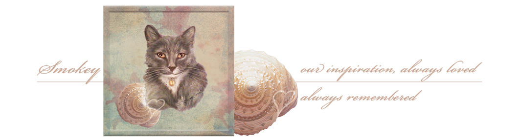 Peekaboo, Onyx and Angels Smokey, Collette, Butterfly: Collette Earns ...