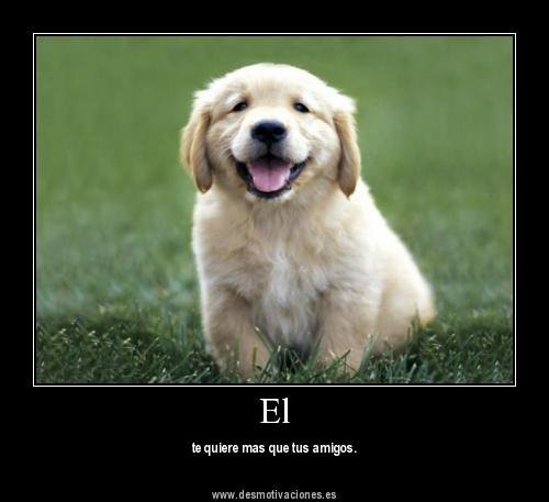Imagenes Imagenes: Desmotivaciones Graciosas