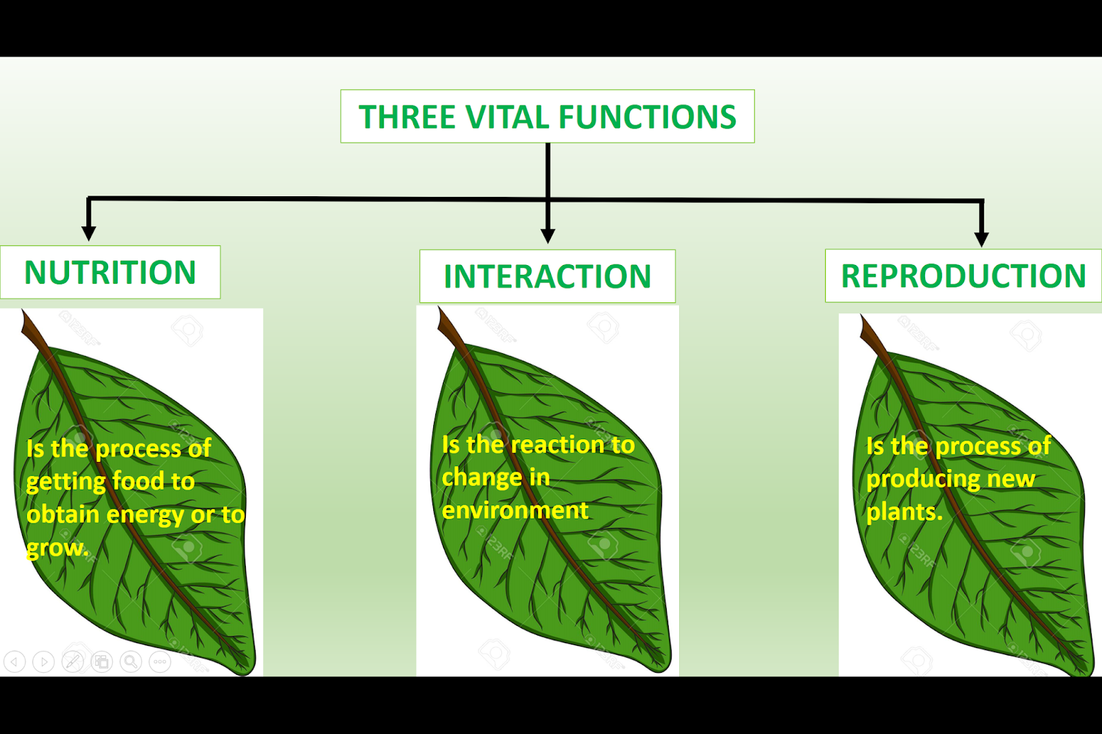 English is coming: ready steady go!: 3º EPO. Curso 2018/2019