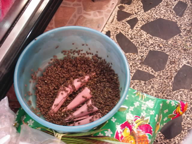 COMIDA PREHISPANICA: Chumiles