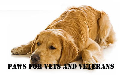 paws for vets and veterans