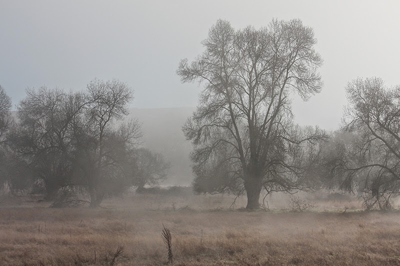 CADA PALABRA ES UN MUNDO: SIGNIFICADO DE DESAPACIBLE