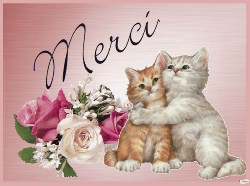 Mes créations pps et cartes virtuelles: Merci