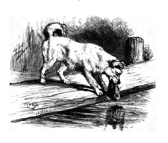 Bytes: Aesop's Fables: The Dog and the Shadow