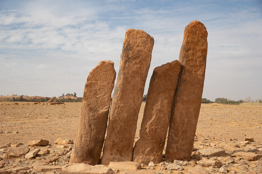 Birds of Saudi Arabia: Ranjajil Columns - Sakaka