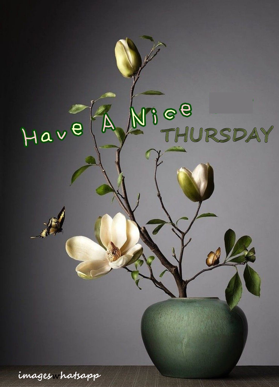 BEST THURSDAY MORNING PHOTOS FOR WHATSAPP AND FACEBOOK