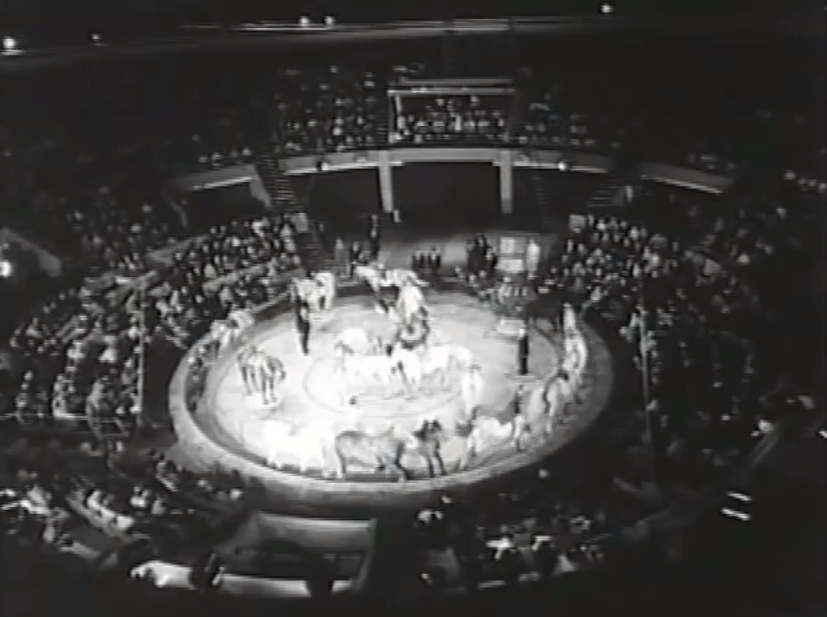 CIRCUS ART: CONSTRUCTIA CIRCULUI DE STAT BUCURESTI 1959-1960