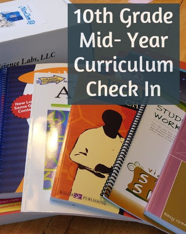 Our 10th Grade Curriculum-- Mid Year Check