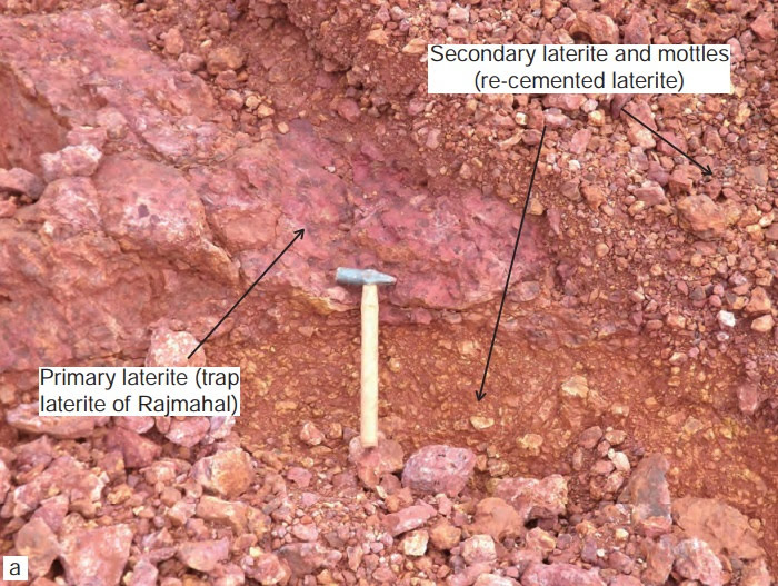 Onde as Plantas Crescem - Plintossolos