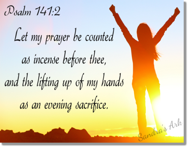 Sandra's Ark: December 2015