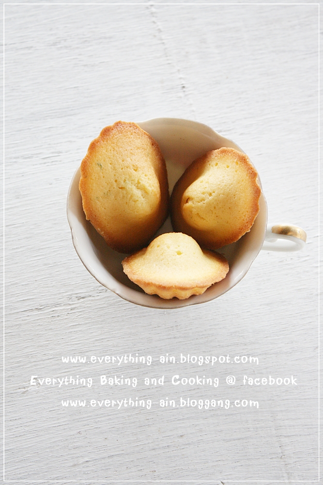~ Everything Baking and Cooking ~: French Madeleines / มาเดอลีน